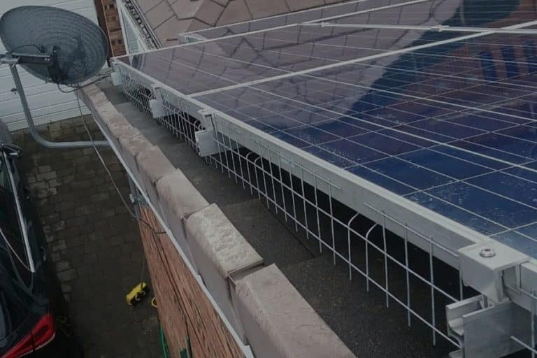 solar panels proofing | Pigeon Solar Solution